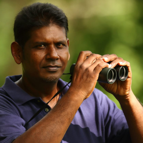 Find A Guide - Birding Trinbago